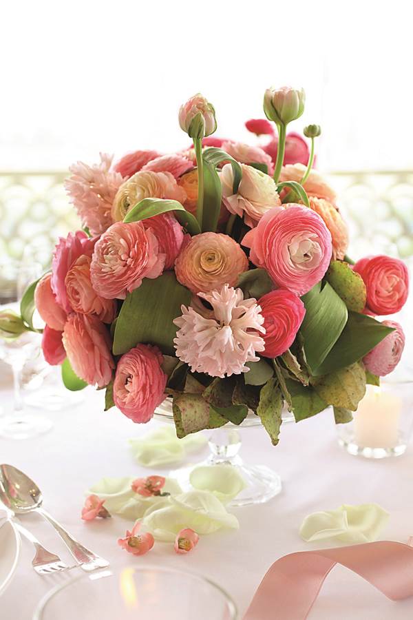 ranunkula-ili-mala-zaba | Story