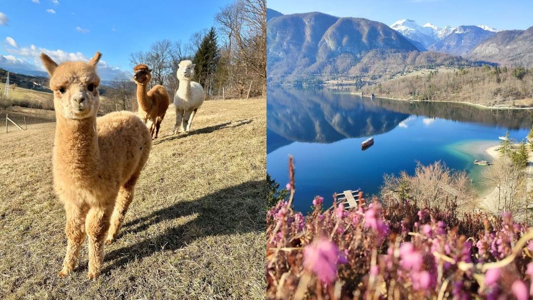 Destinacije za izlet u Sloveniji | Story