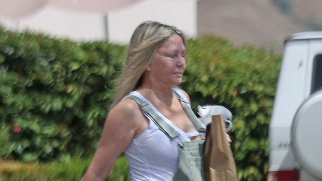 Kako danas izgleda Heather Locklear | Story