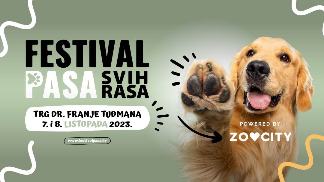 Festival pasa svih rasa | Story