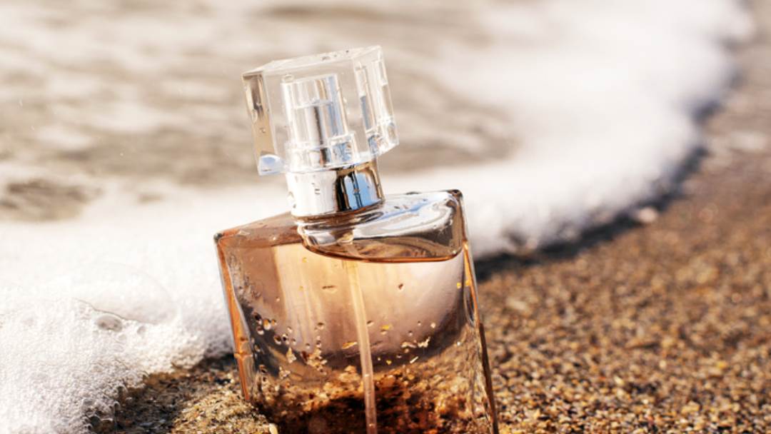 5 najboljih Zara parfema za ljeto 2024 | Story