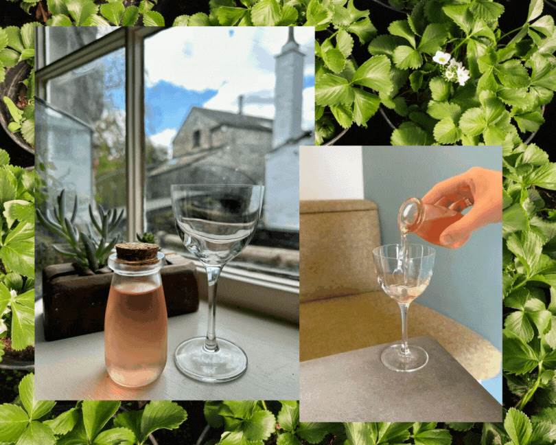 Pripremite koktel Martini s jagodama i mentom prema receptu chefa ...