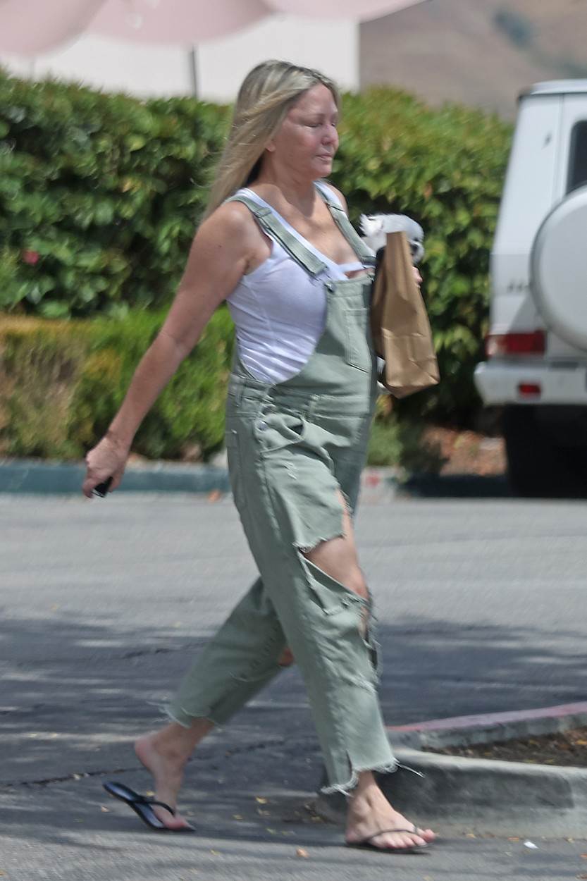 Kako danas izgleda Heather Locklear | Story